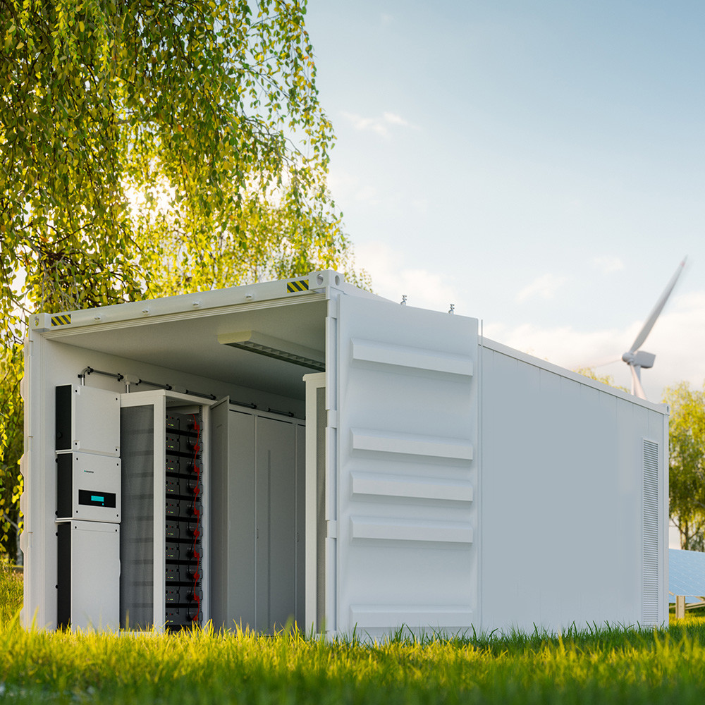 Lifepo4 Bess Commercial Energy Storage System 5ft Solar Battery Energy ...